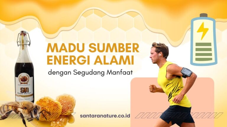 Madu Sumber Energi Alami dengan Segudang Manfaat - santaranature.co.id